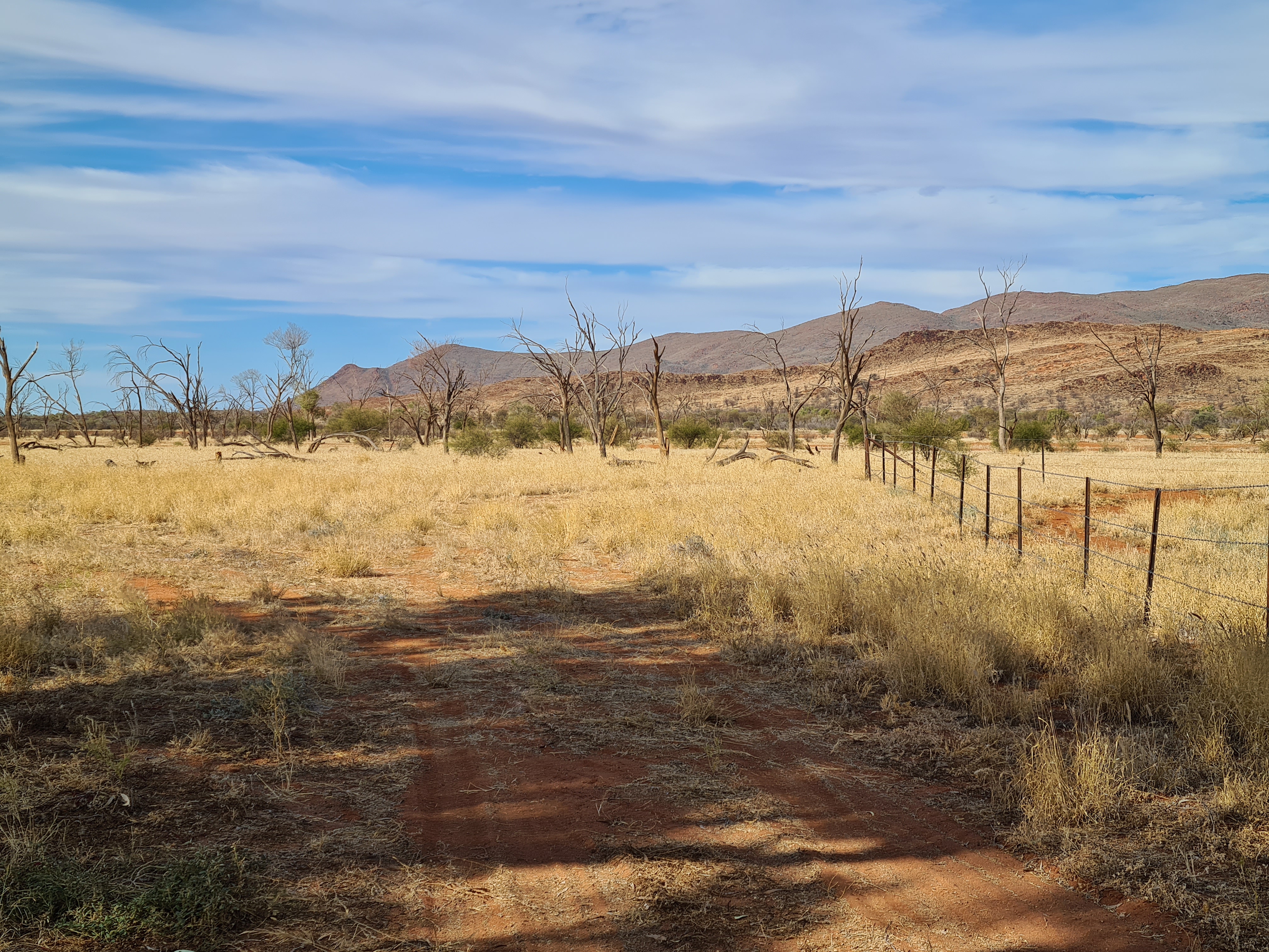 Amburla Station, NT. #5 – Kerry and Peter's Blog